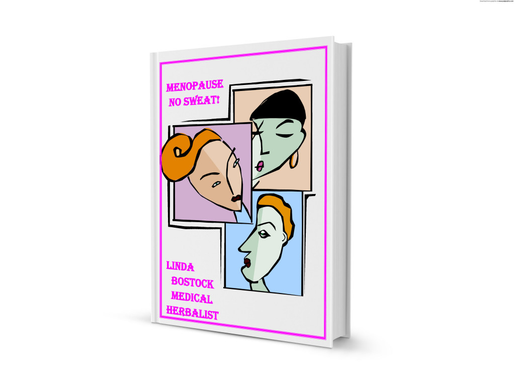 Menopause – No Sweat! | Linda Bostock Health e Books